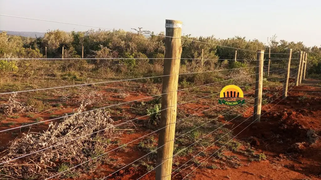 High Tension Wire Fencing – Cute Fencing