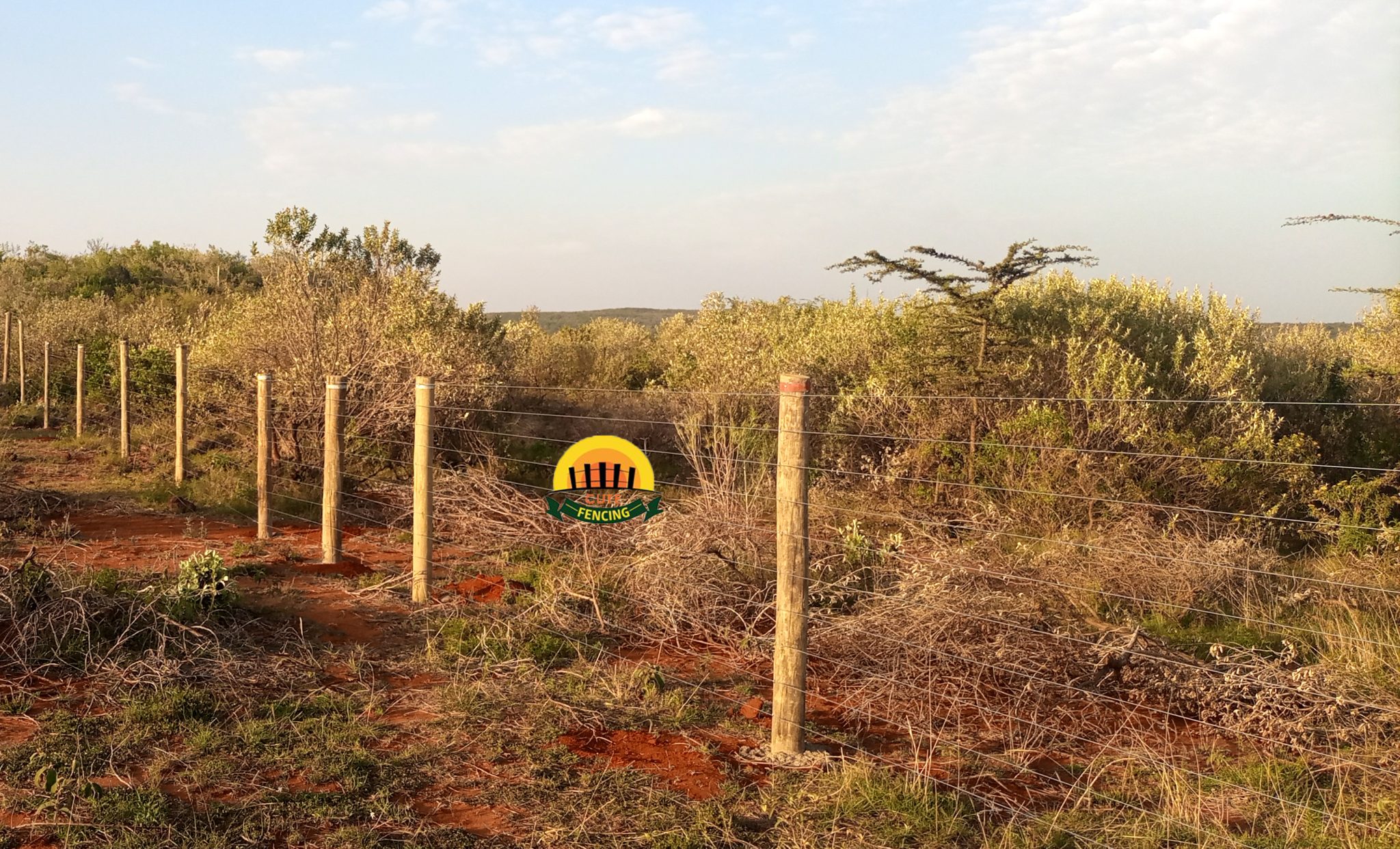 High Tension Wire Fencing – Cute Fencing