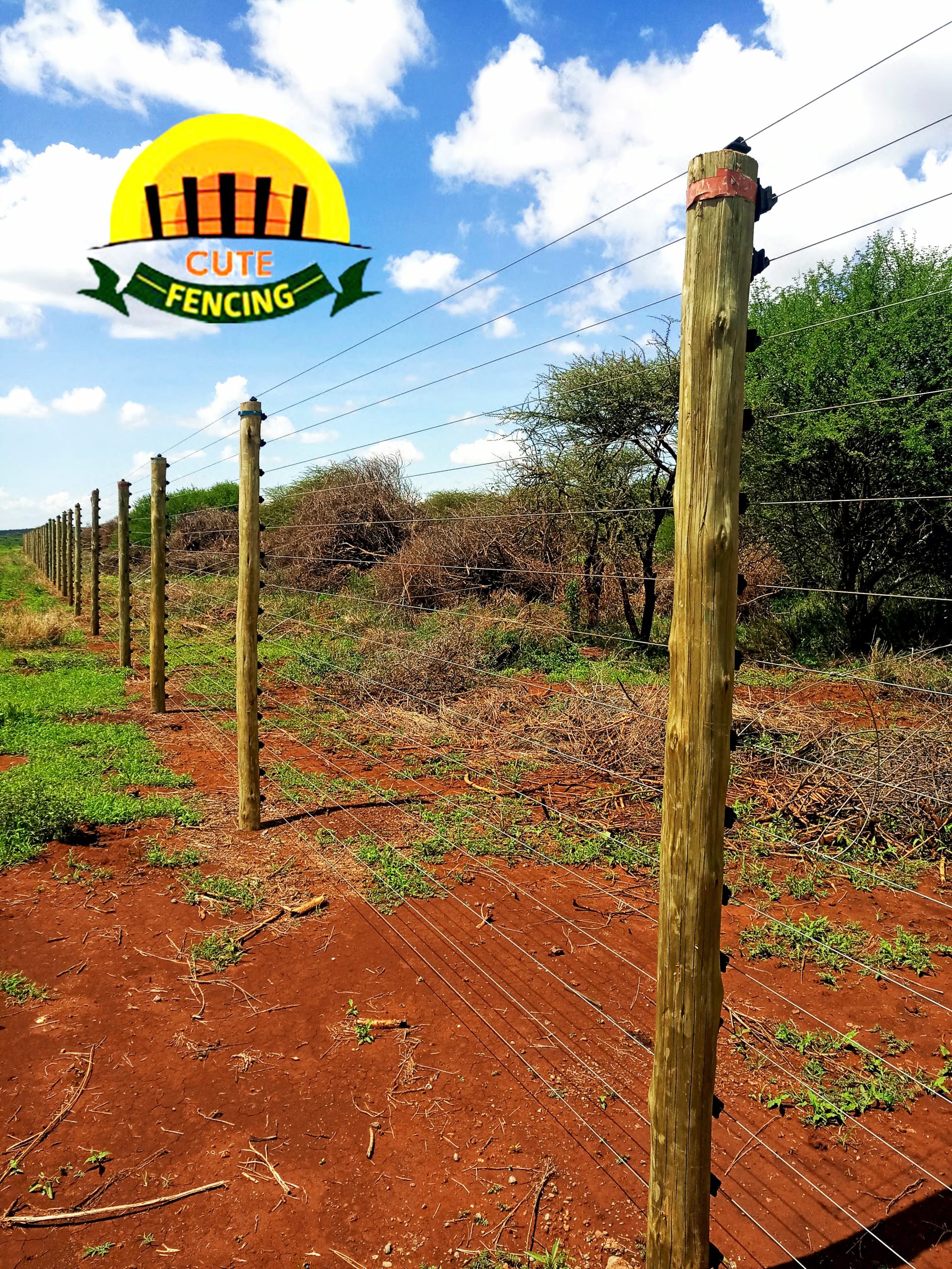 Electric Fence Project – Kimana – Cute Fencing